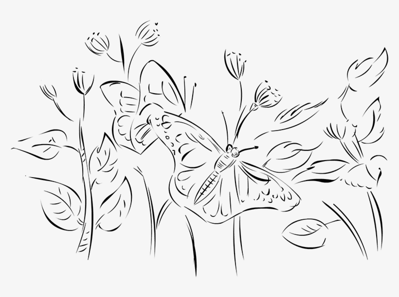 Drawing - Line Art - Free Transparent PNG Download - PNGkey