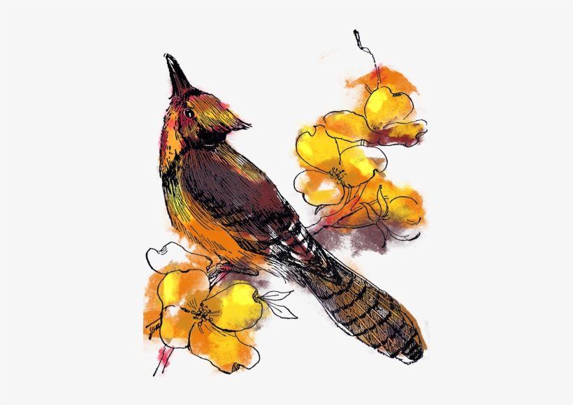 Describing Words Logo - Word - Free Transparent PNG Download - PNGkey