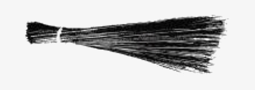 Aap Symbol - Aam Aadmi Party Logo Png - Free Transparent PNG Download - PNGkey