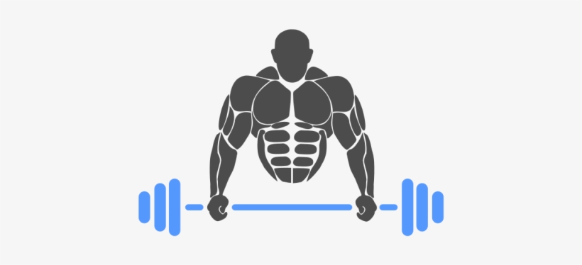 Fitness Logo Vectors - Fitnes Logo - Free Transparent PNG Download - PNGkey