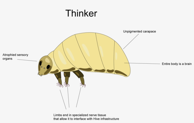 Thinker - Bee - Free Transparent PNG Download - PNGkey