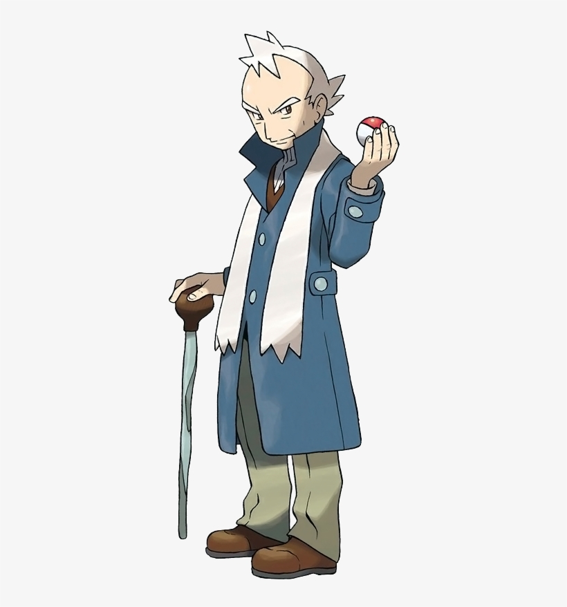 Pryce Pokemon Png - Free Transparent PNG Download - PNGkey