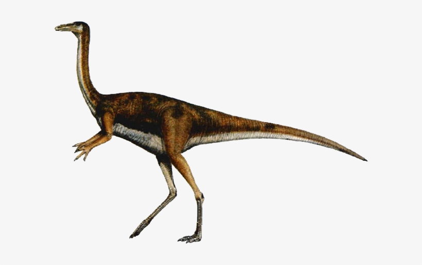 Elaphrosaurus Dinosaur - Gallimimus Dinosaur - Free Transparent PNG ...