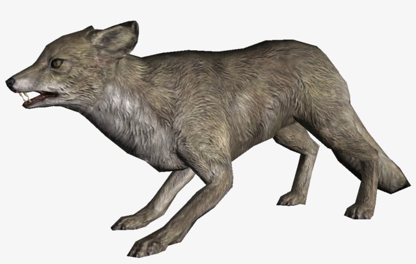 Png Snow Fox - Free Transparent PNG Download - PNGkey