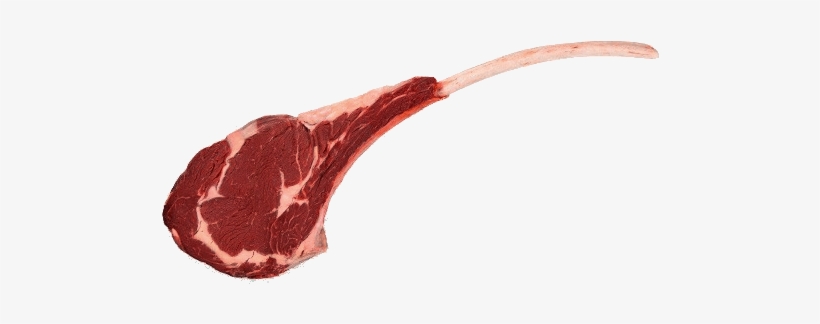 Donald Russell Ltd - Free Transparent PNG Download - PNGkey