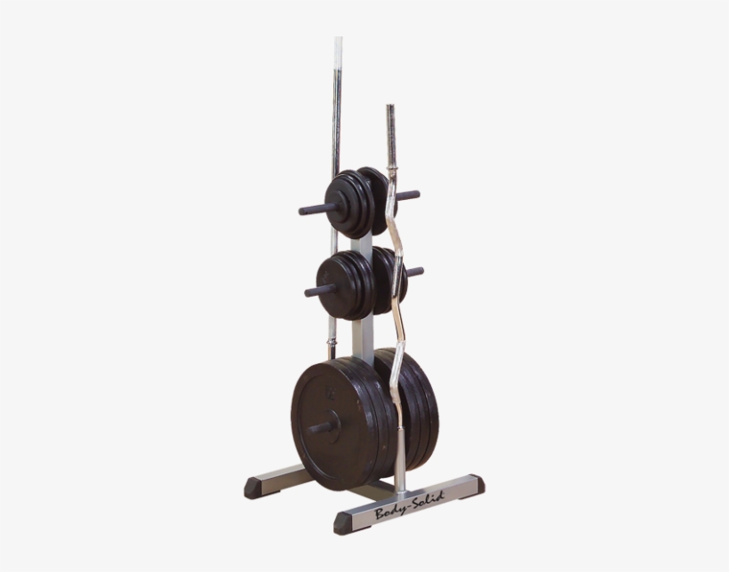 Body Solid Standard Weight Tree - Body-solid Gswt Plate Tree - Free ...