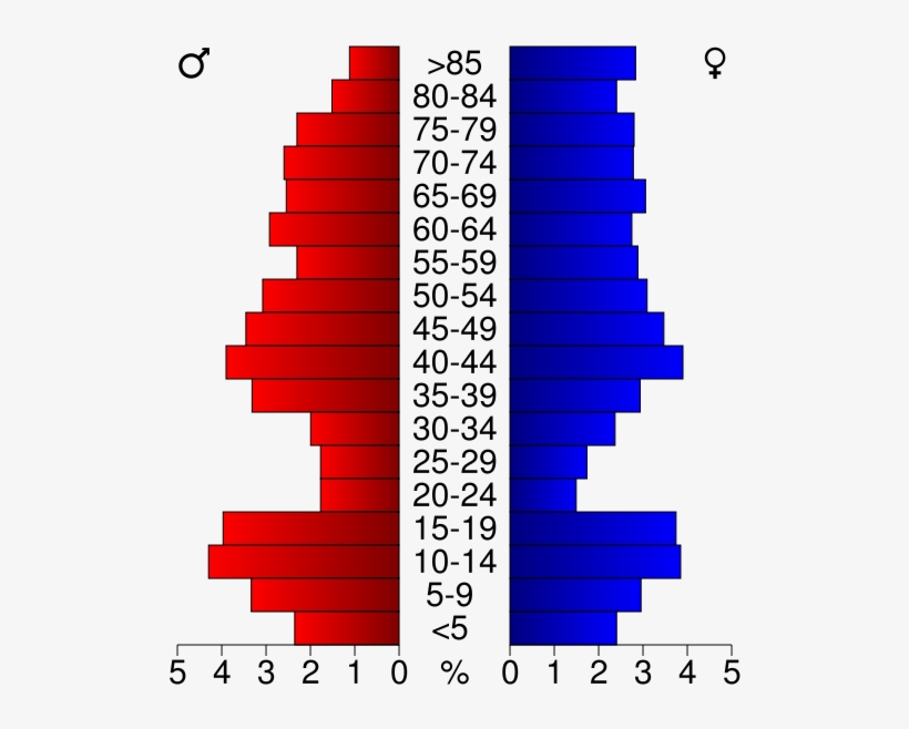 Usa Big Stone County, Minnesota Age Pyramid - Population Pyramid Of ...