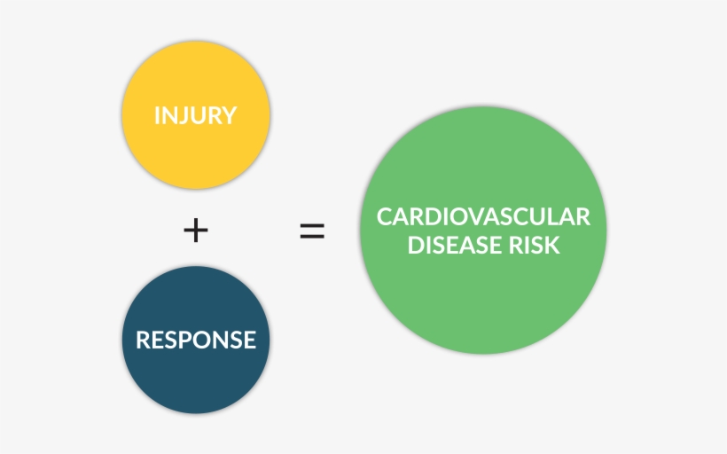 The Response To Injury Hypothesis - Calm And Carry On Poster - Free ...