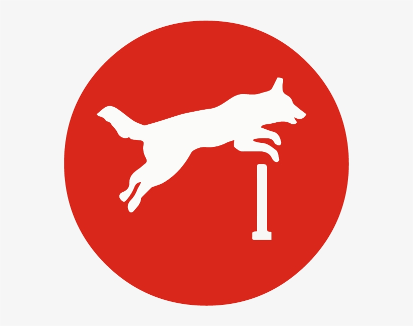 Agility Course - Flat Design - Free Transparent PNG Download - PNGkey