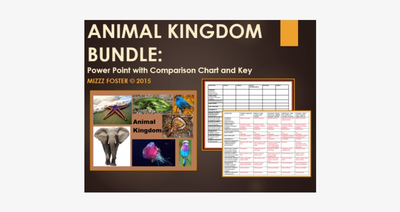 Animal Kingdom Bundle - Microsoft Powerpoint - Free Transparent PNG ...