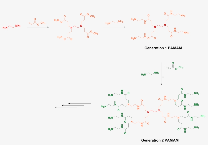 Pamam Divergent Synthesis Color-coded - Diagram - Free Transparent PNG ...