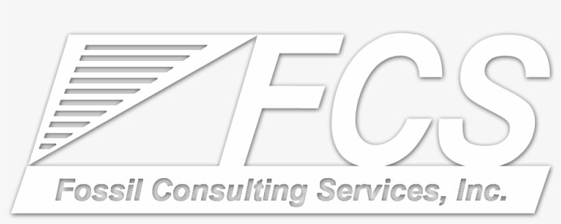 White Fcs Logo With Shadow - Logo - Free Transparent PNG Download - PNGkey