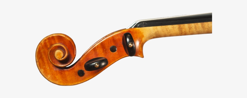 Bloomington String Instruments - String Instruments - Free Transparent ...