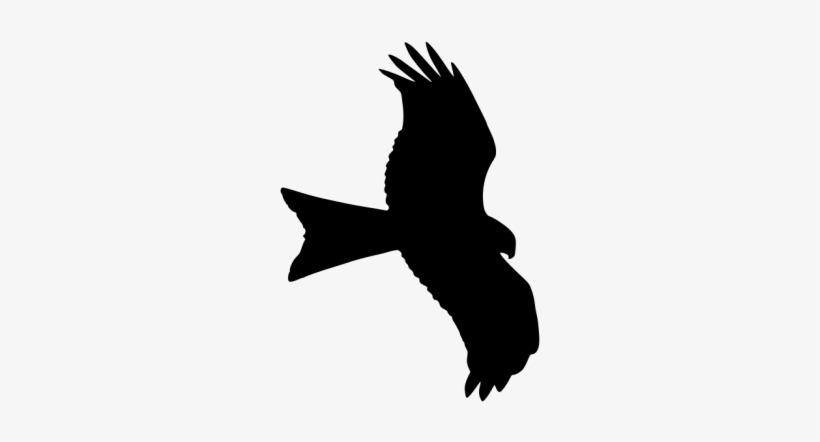 Silhouette - Buzzard Silhouette - Free Transparent PNG Download - PNGkey