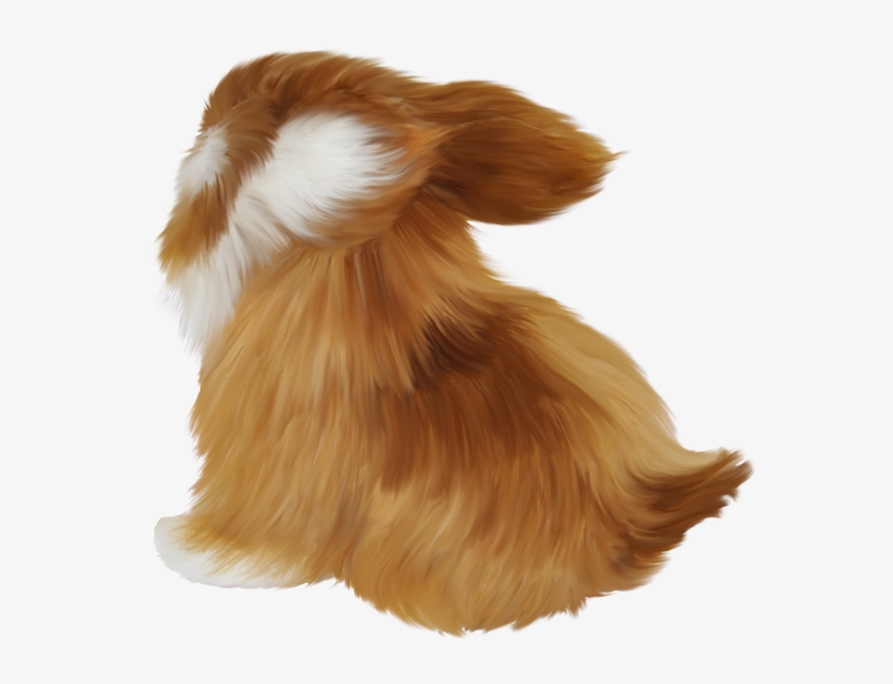 Rex Rabbit - Free Transparent PNG Download - PNGkey