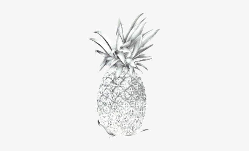 Pineapple - Free Transparent PNG Download - PNGkey