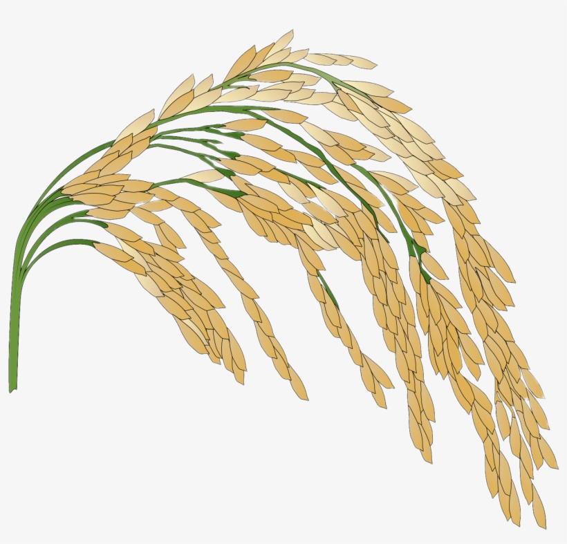 Download - Rice Logo Transparent Background - Free Transparent PNG ...