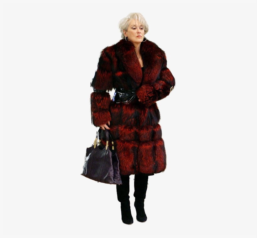 Meryl Streep, Entourage, Photoshop - Fur Clothing - Free Transparent ...