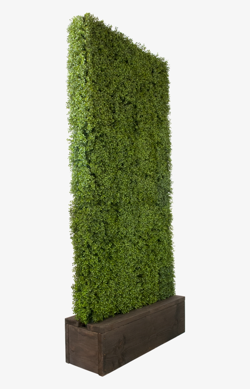 Artificial Boxwood Hedge - Box - Free Transparent PNG Download - PNGkey