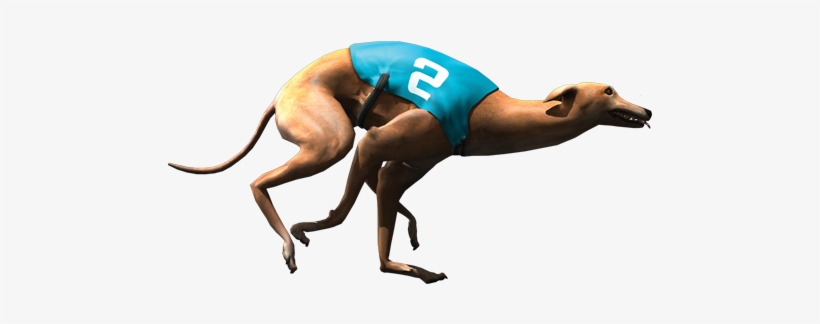 Racing Dog - Virtual Dog - Free Transparent PNG Download - PNGkey