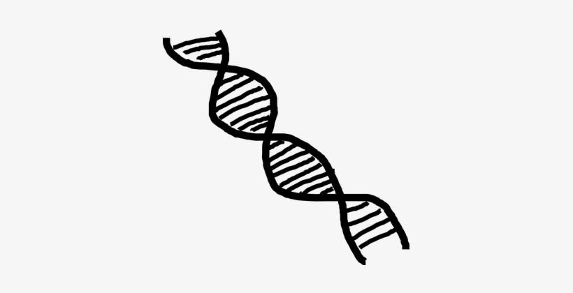 Dna Double Helix Helix Science Medicine Bi - Dna Double Helix Cartoon ...