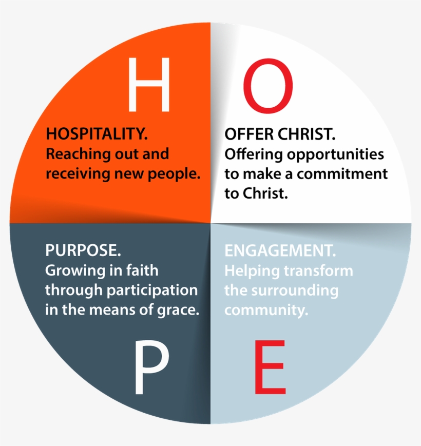Project Hope Chart - Church Discipleship Process - Free Transparent PNG ...