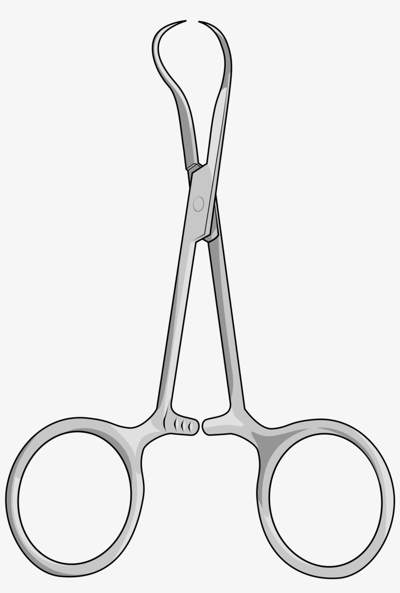 Open - Hopfner Forceps - Free Transparent PNG Download - PNGkey