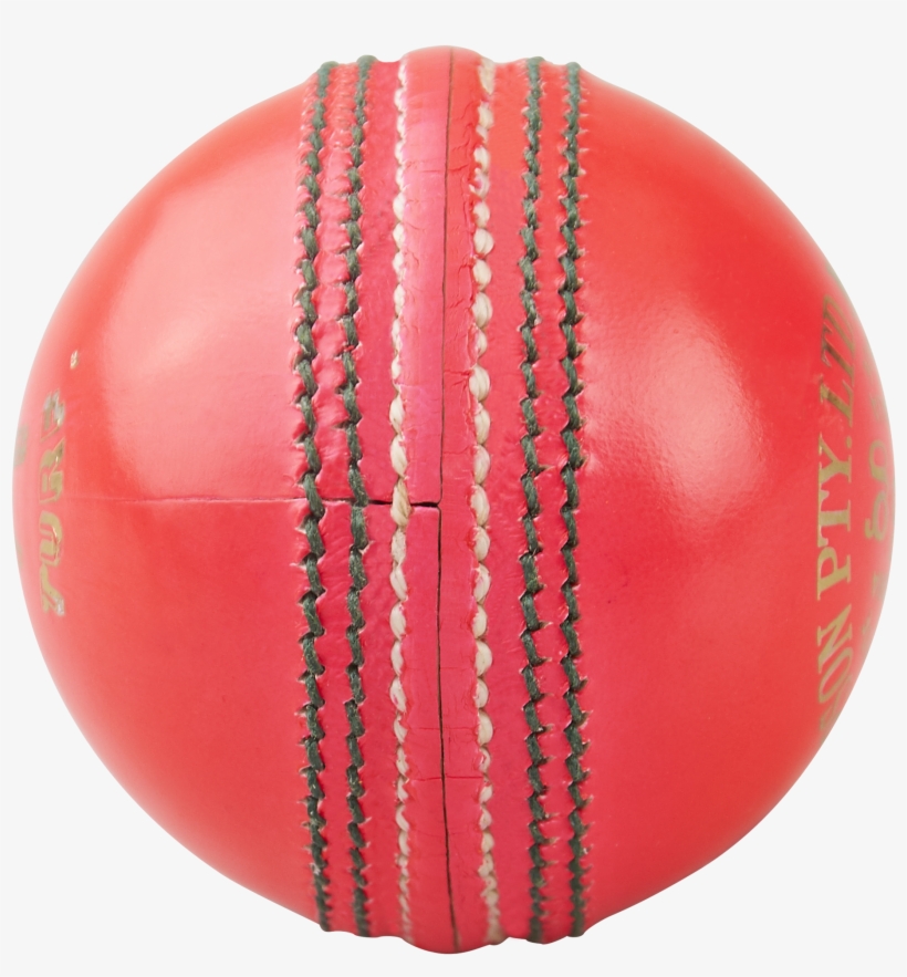 Cricket - Free Transparent PNG Download - PNGkey