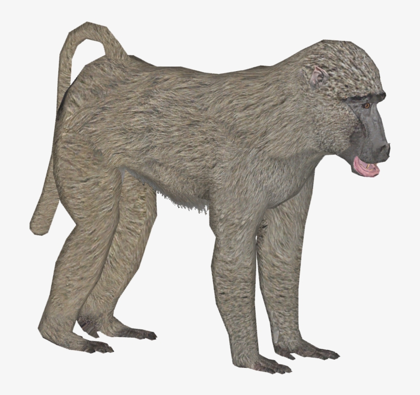 Olive Baboon F - Olive Baboon - Free Transparent PNG Download - PNGkey