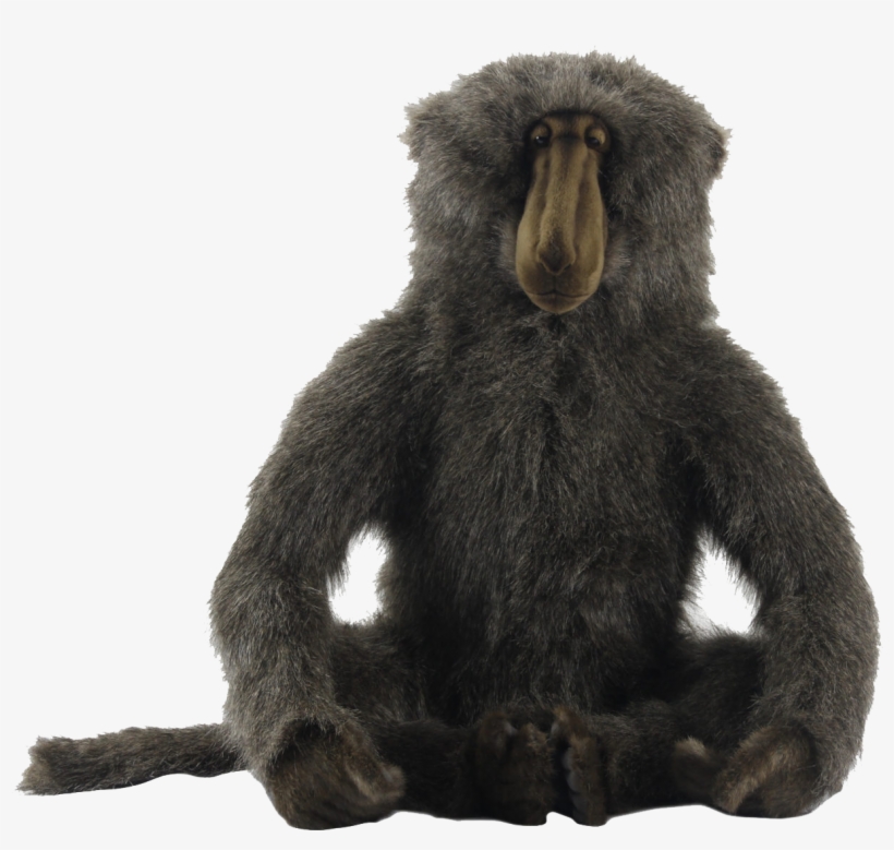 Portable Network Graphics - Free Transparent PNG Download - PNGkey