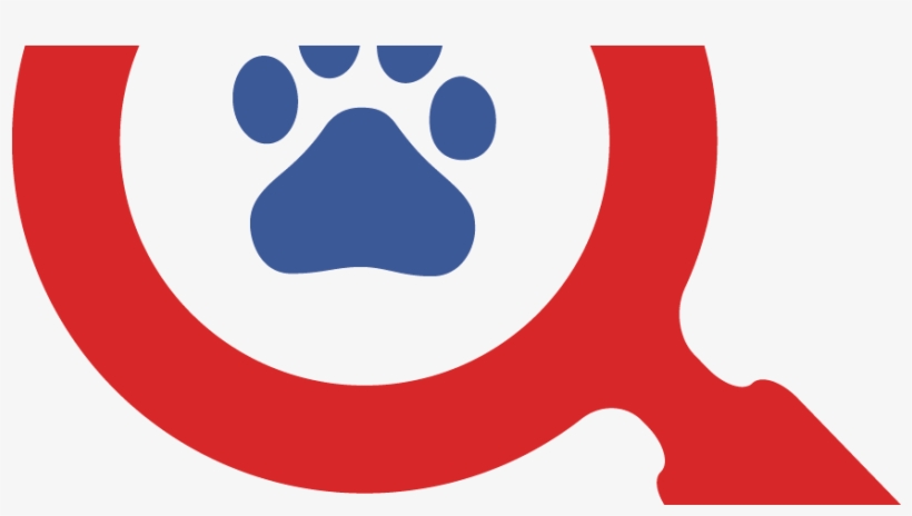 Baidu-1000x450 - Free Transparent PNG Download - PNGkey