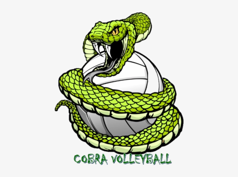 Cobra Corner - Snake Wrapped Around Ball - Free Transparent PNG ...
