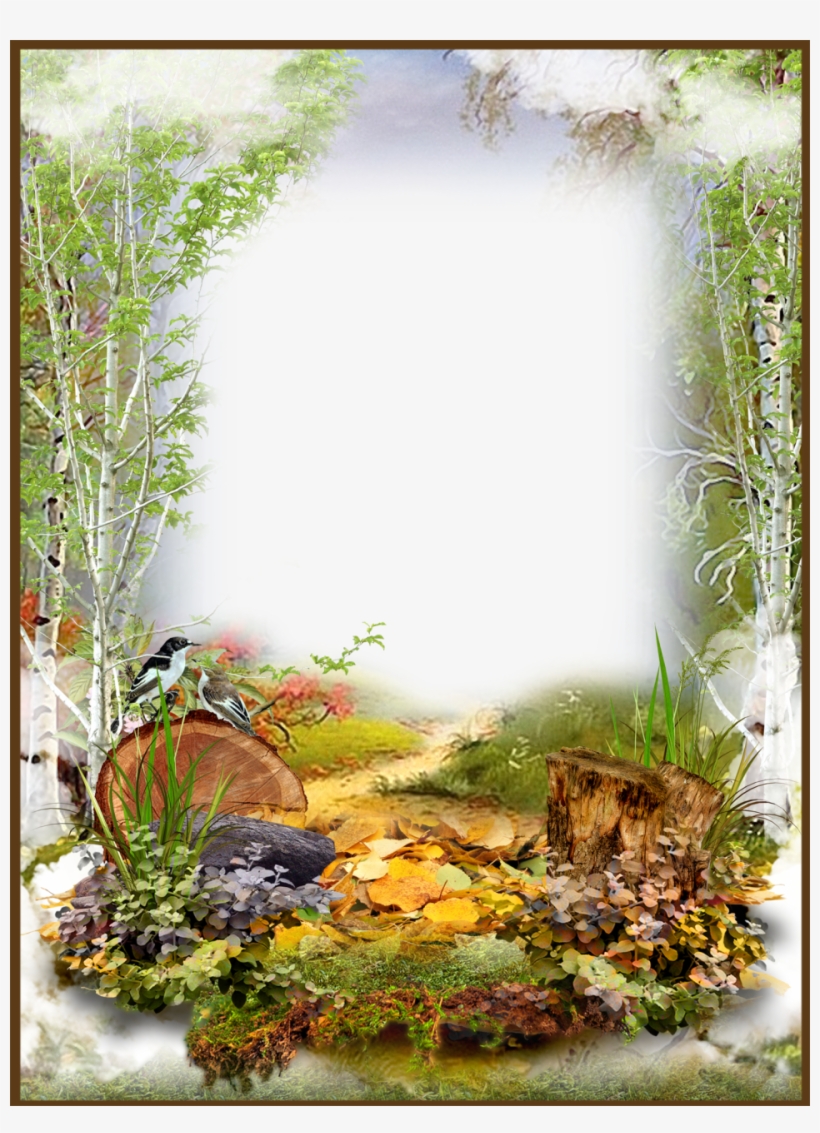 Photo Frame Autumn In The Forest - Free Transparent PNG Download - PNGkey
