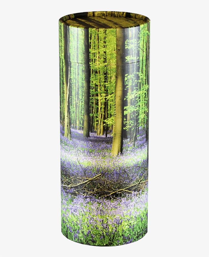 Bio Tubes - Scatter Tubes - Free Transparent PNG Download - PNGkey