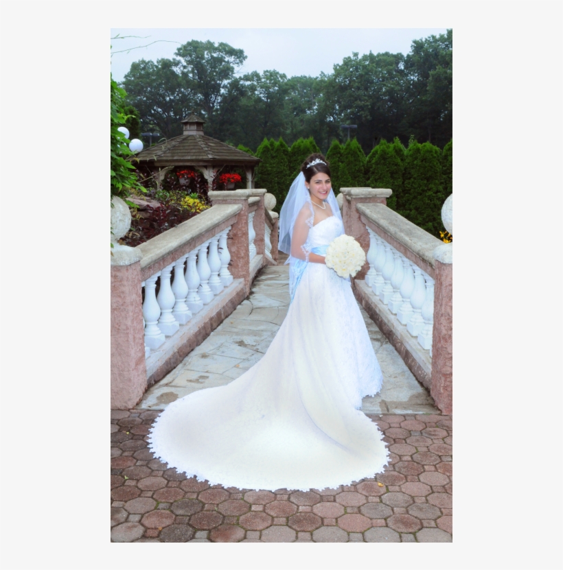 3687047 - Portable Network Graphics - Free Transparent PNG Download ...