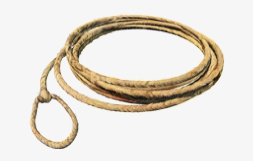 Lasso Png - Free Transparent PNG Download - PNGkey