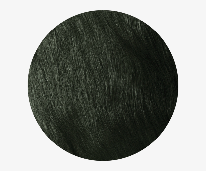 Swamp - Free Transparent PNG Download - PNGkey