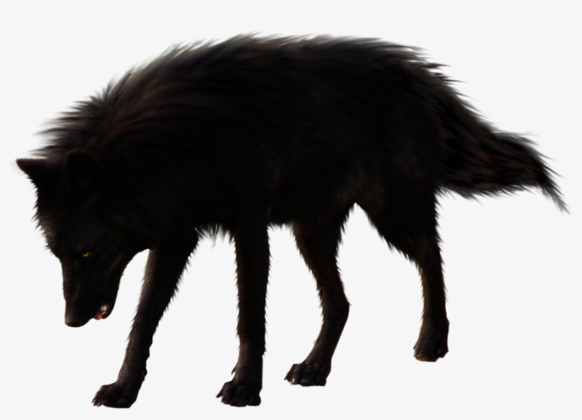 Black Wolf Png Picture Library Library - Transparent Black Wolf - Free ...