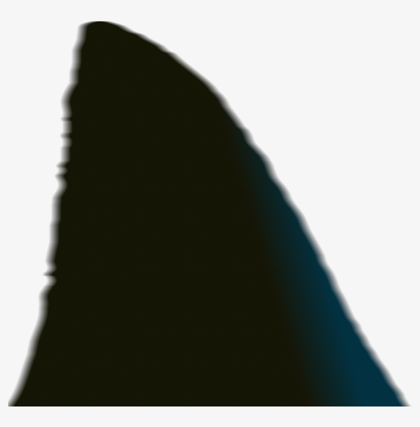 Shark Fin Png - Real Shark Fin Png - Free Transparent PNG Download - PNGkey