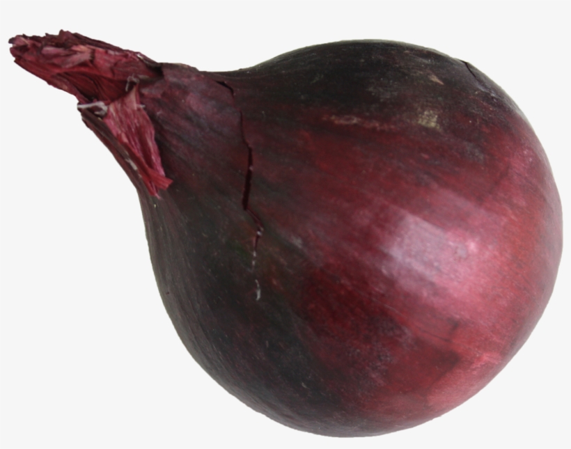 Red Onion - - Red Onion - Free Transparent PNG Download - PNGkey