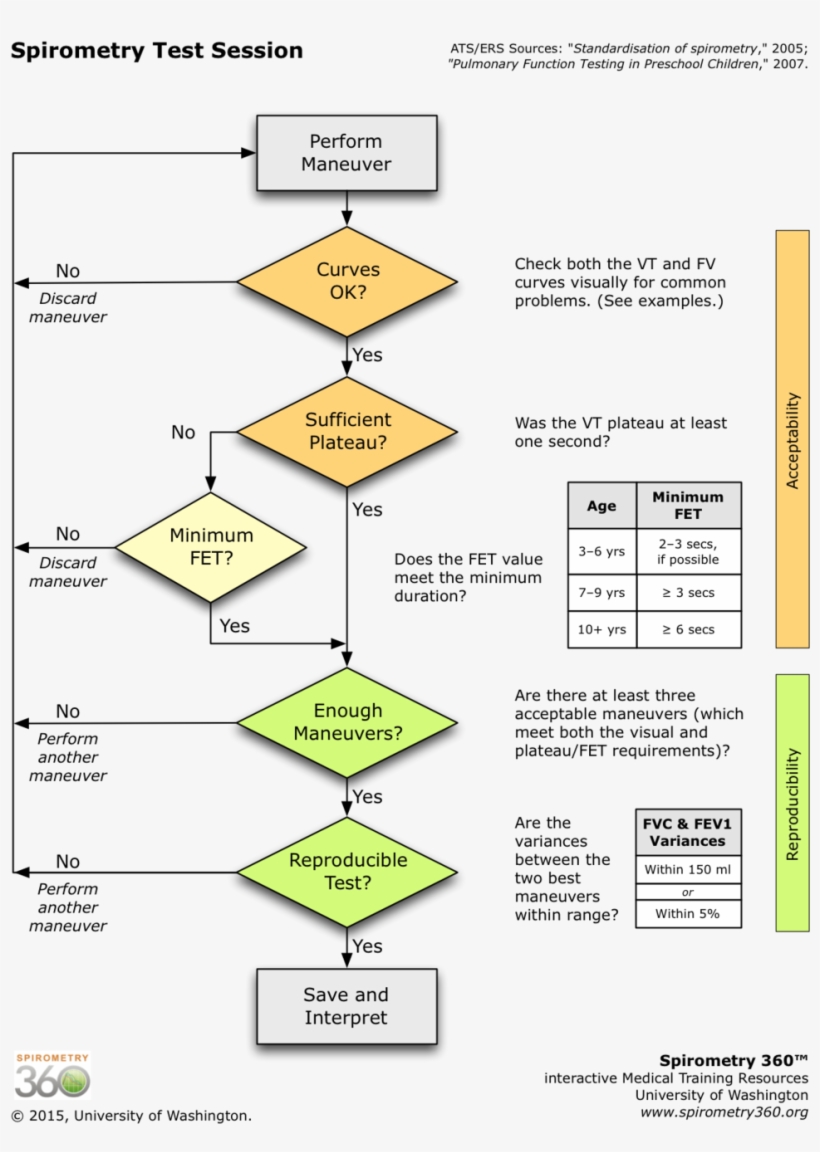 Spirometry Test Session - Diagram - Free Transparent PNG Download - PNGkey