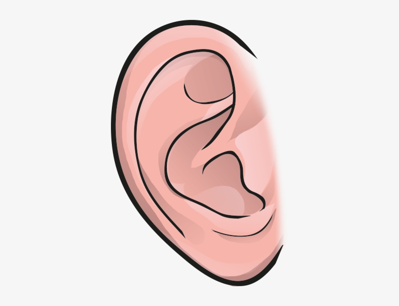 Ear - Illustration - Free Transparent PNG Download - PNGkey