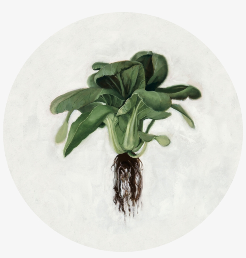 Still Life - Free Transparent PNG Download - PNGkey