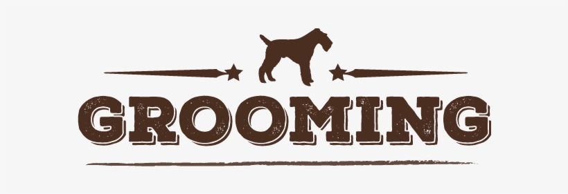 Grooming - Veruca Salt - M In Pink - Free Transparent PNG Download - PNGkey