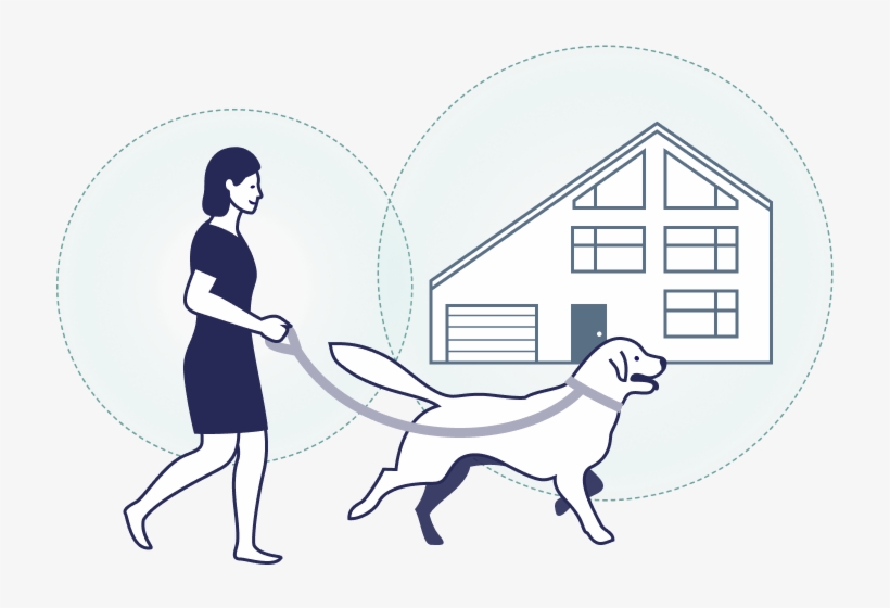 Dog - Free Transparent PNG Download - PNGkey