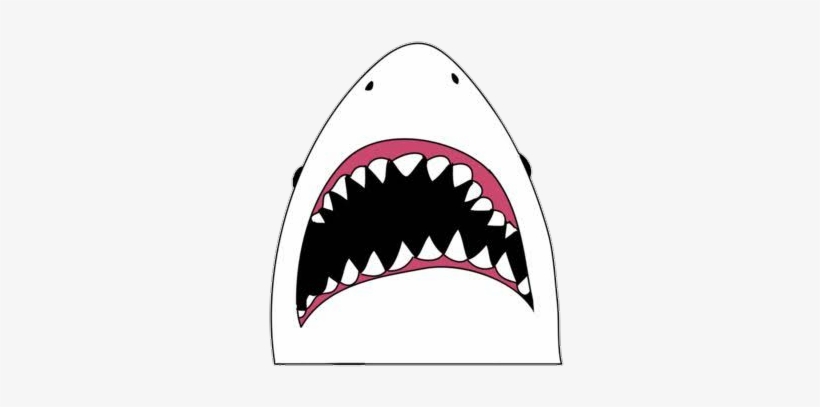 Shark Tiburon Tiburón Tiburoncin - Sticker Tumblr Transparent - Free ...