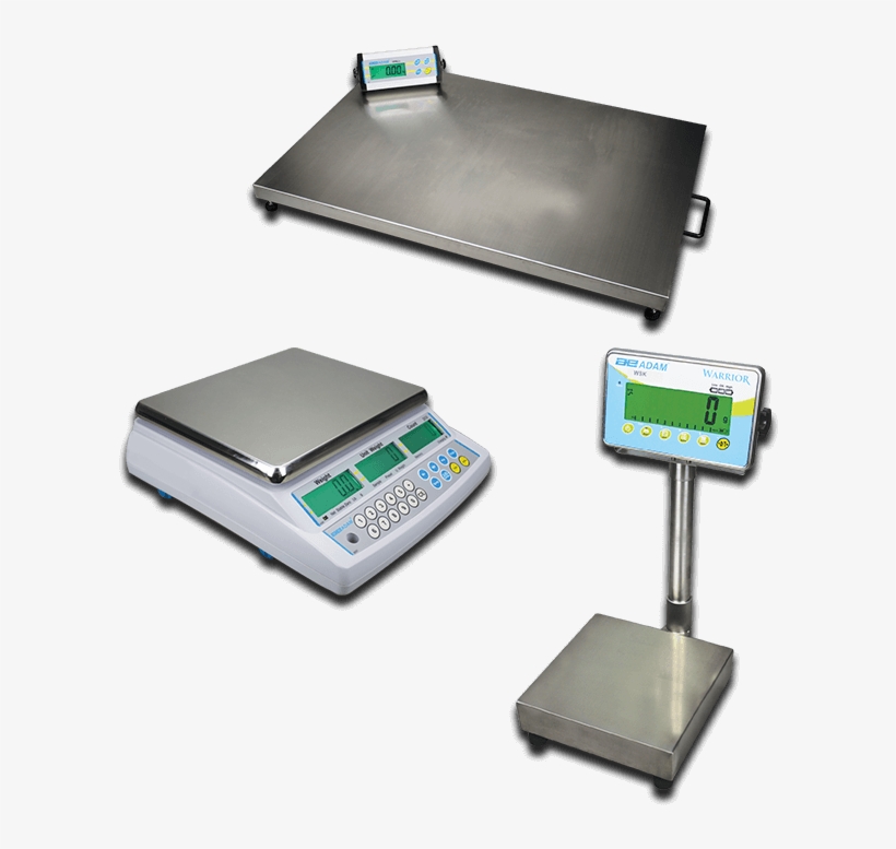 Bench And Floor Scales - Adam Cbc Counting Scale - Free Transparent PNG ...