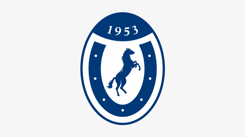 Colts Fc - Horse Cb Edit Background - Free Transparent PNG Download ...