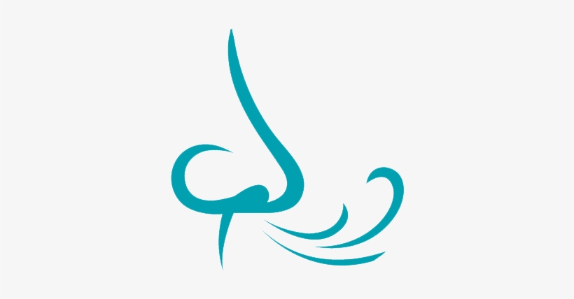 #1 - Breathe - Breathing In Icon - Free Transparent PNG Download - PNGkey