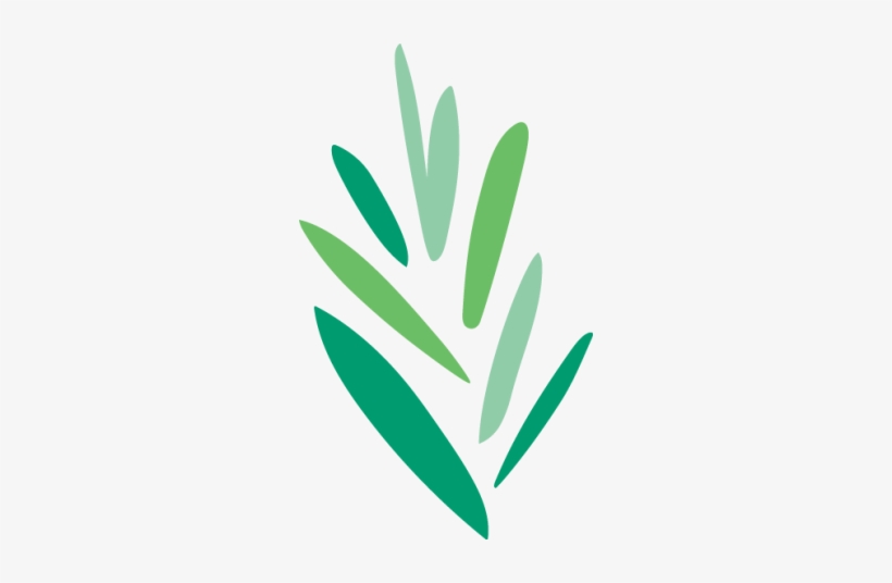 Our New Symbol - Reconstructionist Judaism - Free Transparent PNG ...